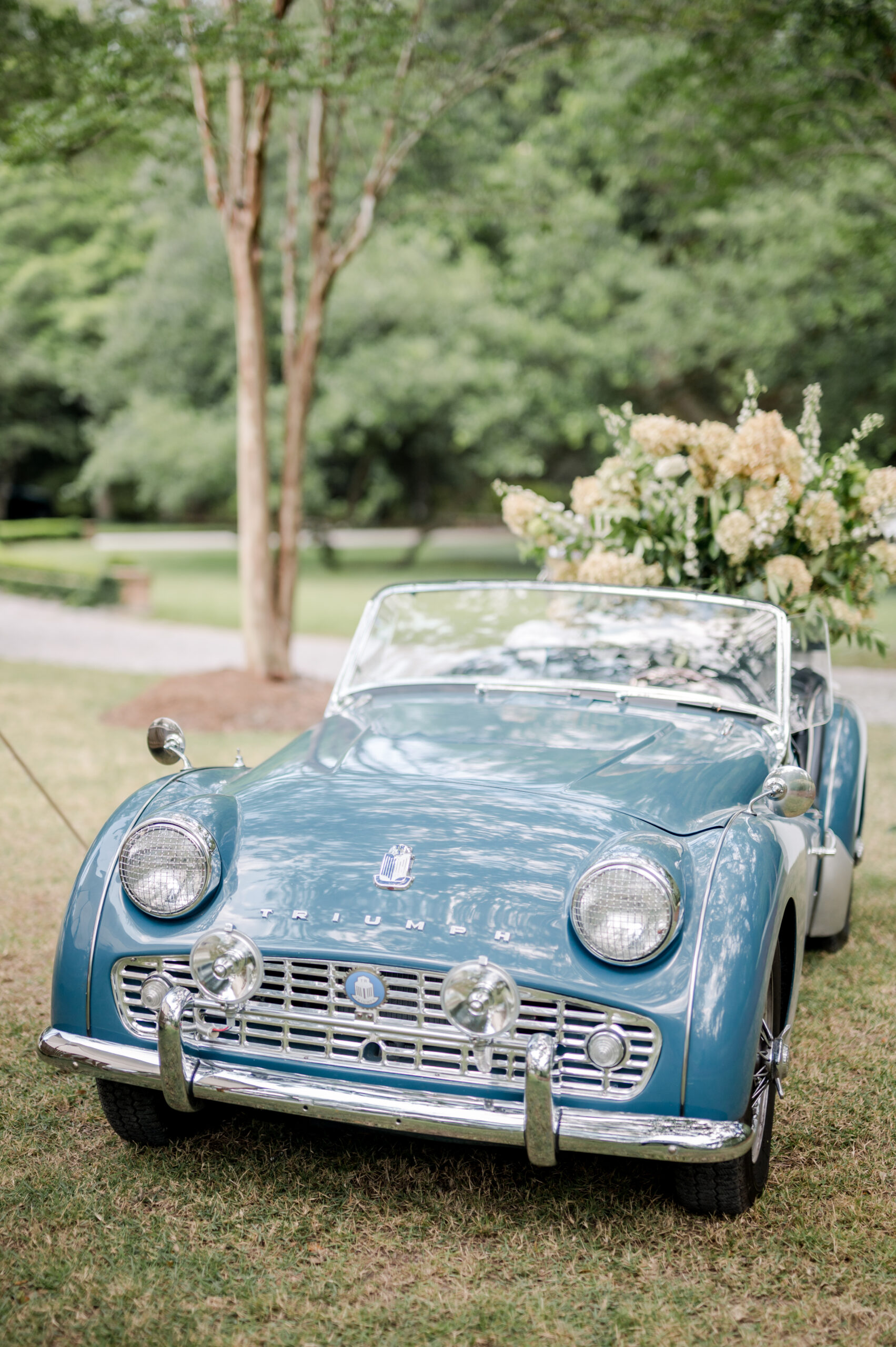 1073-ELIZABETH_COOPER_PREVIEW - Catherine Guidry Photography