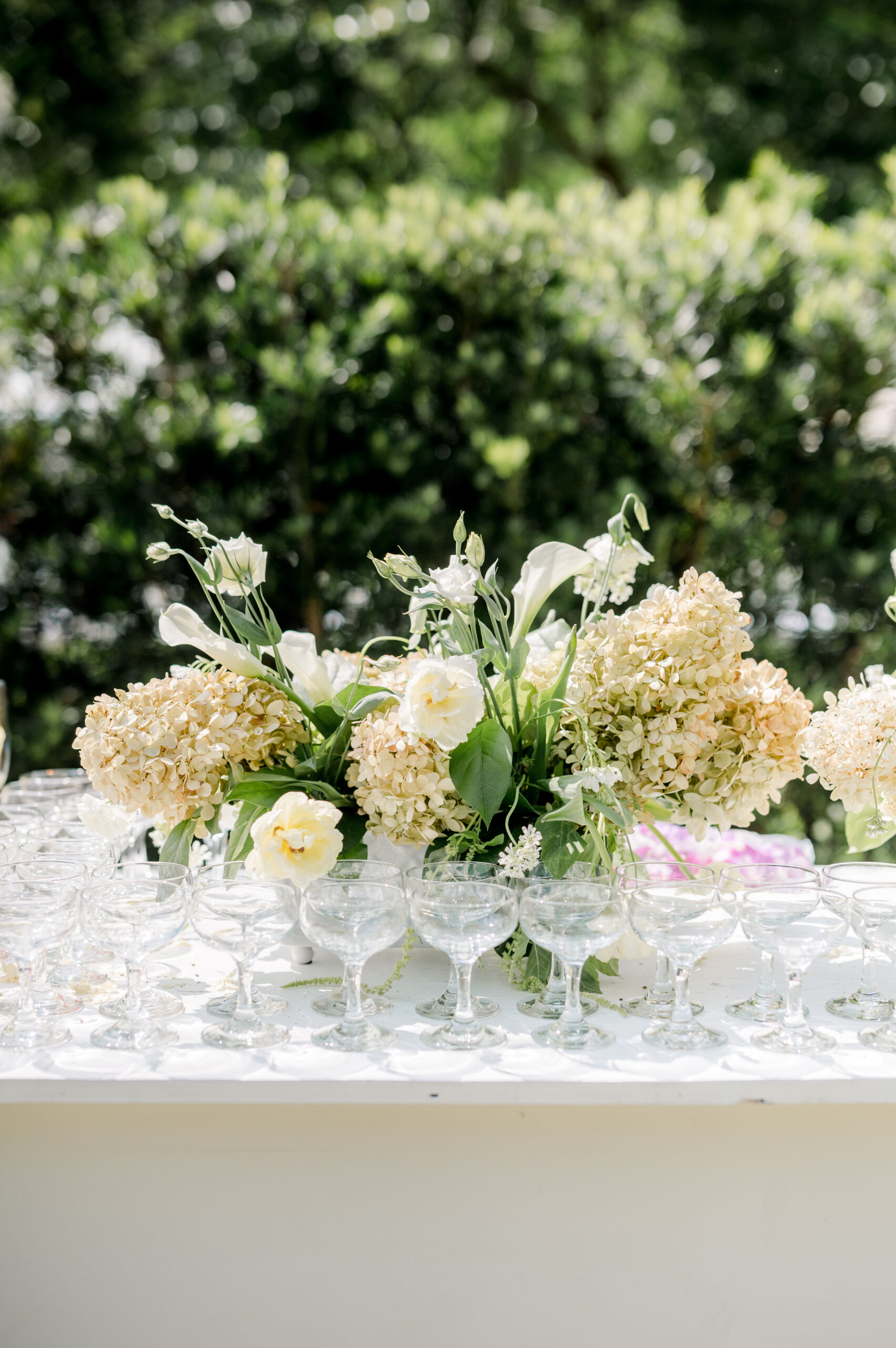 1076-ELIZABETH_COOPER_PREVIEW - Catherine Guidry Photography